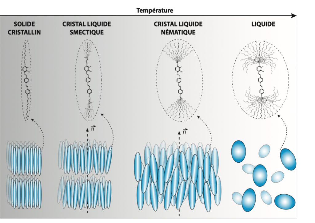 Afficheur à cristal liquide - CPAPMERSULTAN